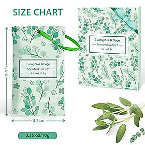Scented Sachets, Eucalyptus & Sage Sachets, Sneaker Deodorizer Balls, Sneaker Odor Balls