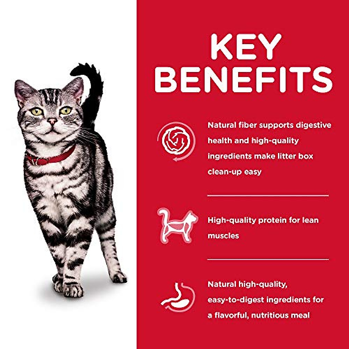 Hill's Science Diet Dry Cat Food, Adult, Indoor, Chicken Recipe, 3.5 lb. Bag