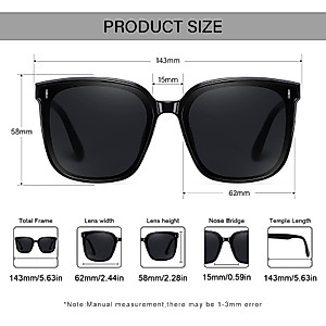 Dollger Retro Oversized Square Sunglasses for Women Trendy Classic Style Sun Glasses UV400 Protection 2 Packs