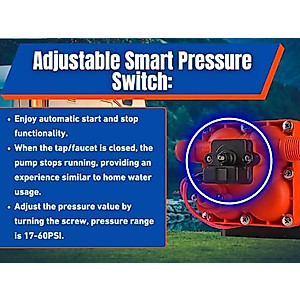 Seaflo 42 Series Diaphragm Pump with Bypass for Reduced Cycling 12V/24V 3.0GPM 55PSI (12 Volts)