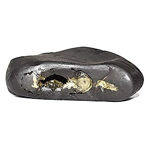 Rudrakshguru Krishna Shaligram/Madana Gopala Salagram - Gandaki River Nepal