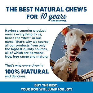 Best Bully Sticks All Natural Dog Chews - 6 Inch Beef Wrapped Beef Collagen Sticks - USA Baked & Packed - Easily digestible, Limited Ingredient, Rawhide Alternative Dog Chew - 10 Pack
