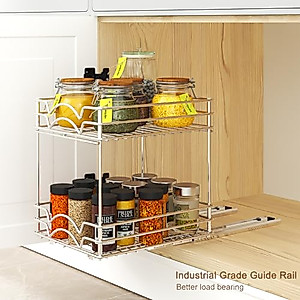 FANHAO Pull Out Spice Rack Organizer for Cabinet, Heavy Duty Slide Out Seasoning Kitchen Organizer, 2 Tier Cabinet Organizer Under Sink Organizers, 8.7" W x10.3 D x10.8 H, Chrome