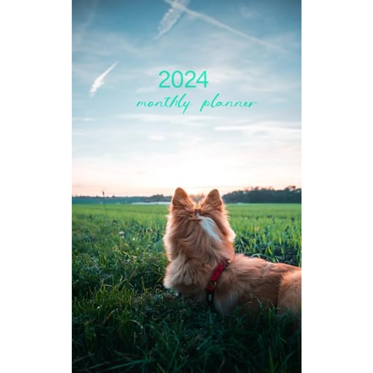 2024 Monthly Planner: Small 1 Year Calendar Schedule Organizer Start January 2024 to December 2024 with Holidays|Includes Place for Contacts, Notes, Important Dates, and Passwords