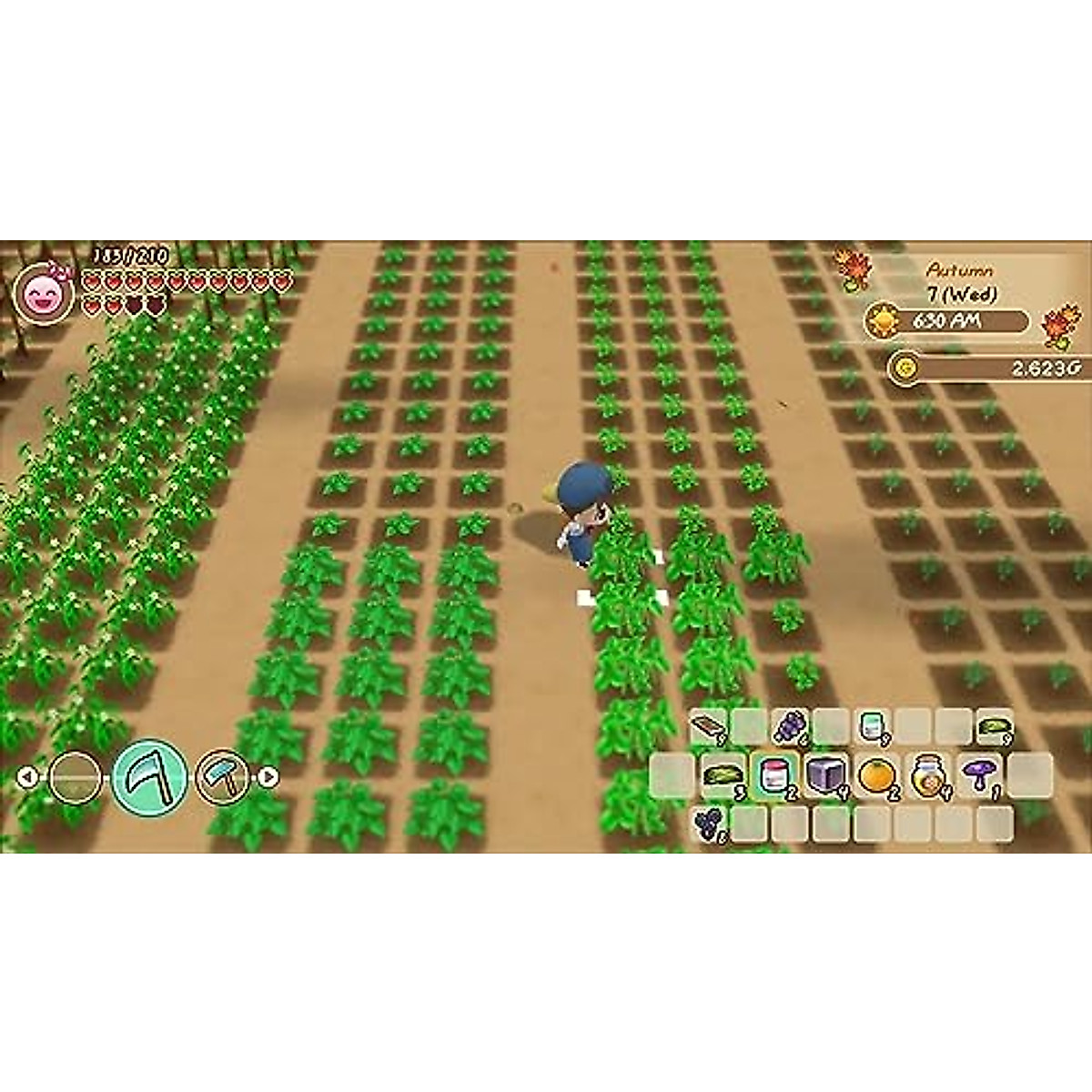 Story of Seasons - Friends Of Mineral Town (Nintendo Switch)