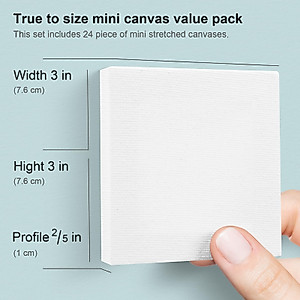 AUREUO Mini Stretched Canvas - 3x3 Inch/24 Pack - 2/5 Inch Profile Small Square Canvas - Gift Set Bulk Pack Canvases for Acrylic Painting & Craft