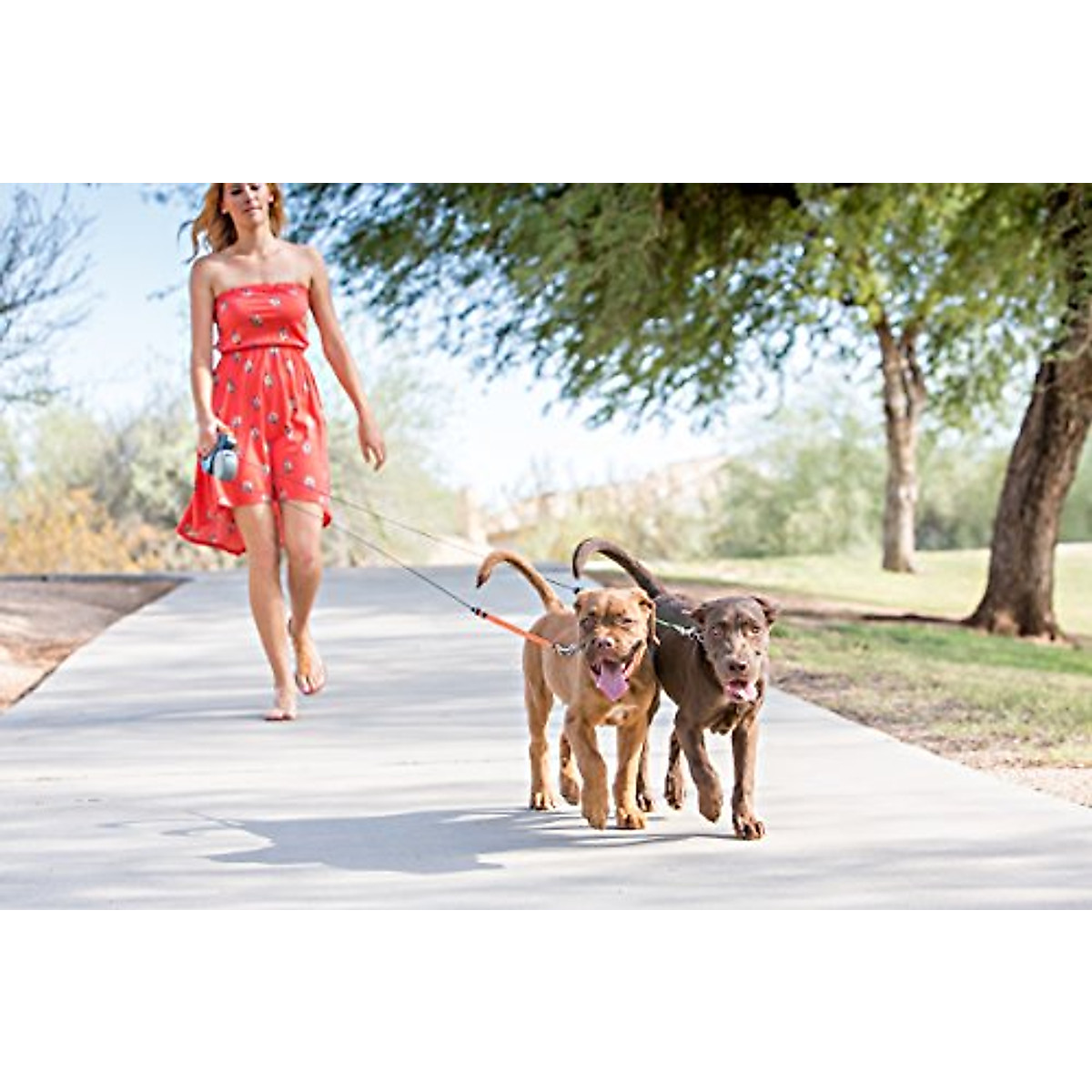 WIGZI (2 Two Dog Reflective Retractable Pet Leash – 360 Degree Zero Tangle Patent - Two Dogs Each up to 50 lbs and 10ft. Reflective Orange and Green Leads. Dual Locking, Small, Gray