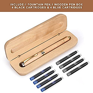 Ayiaren Best Wood Fountain Pen with 8 Ink and Gift Box, Wooden Ink Pen Fancy Vintage Fountain Pen Writing Nib Pen Calligraphy Pens Fountain Pen