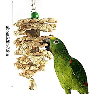 Parrot Toys Chewing Bird Toy Cuttle Bone Beak Grinding Cage Hanging Bell Toys for African Greys Amazon Conure Eclectus Budgies Parakeet Cockatiel Hamster Chinchilla Rabbit, 3 Pack
