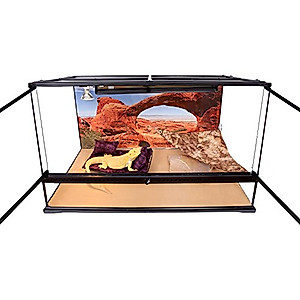 Carolina Custom Cages Reptile Habitat Background, Big Arch, 15.75" x 36"