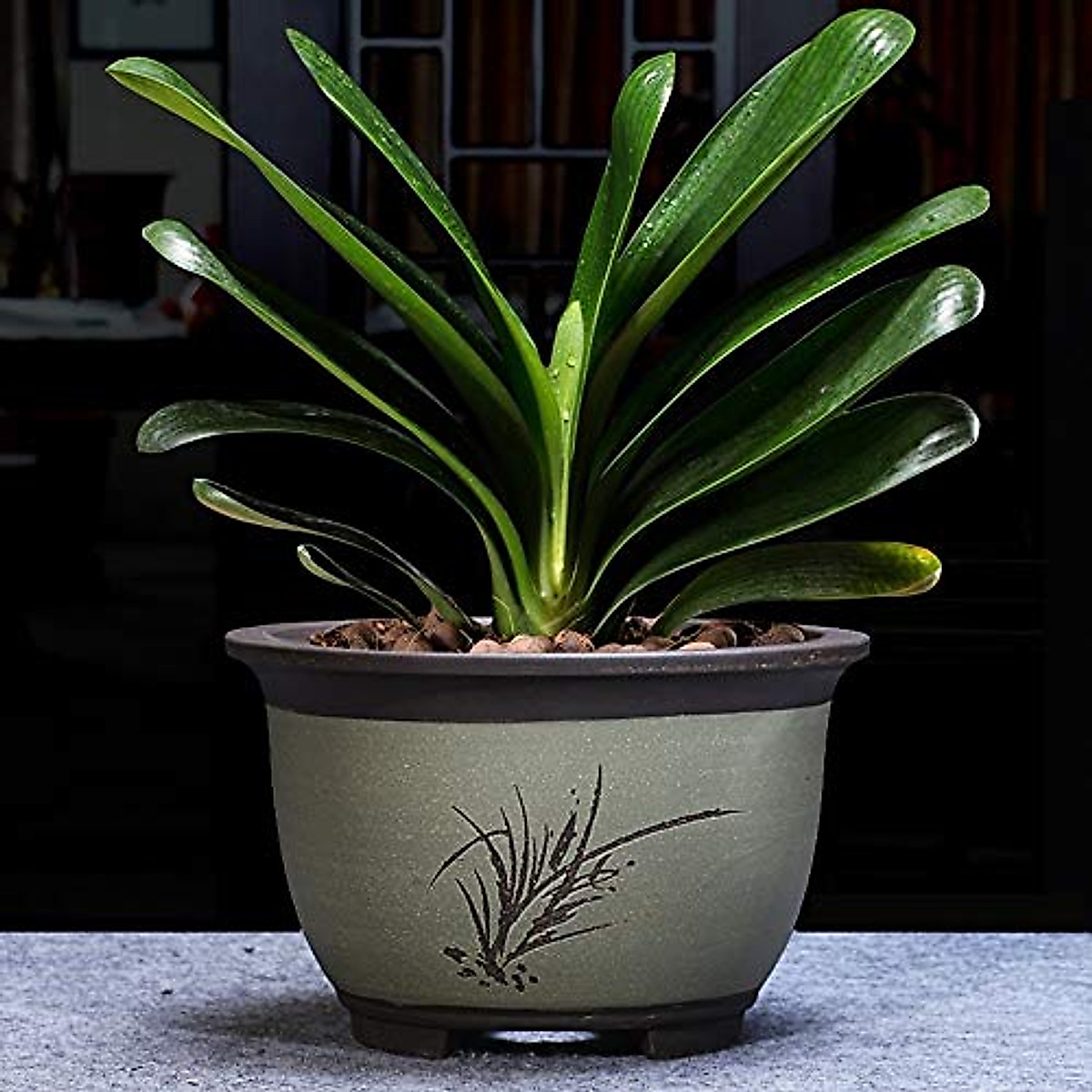 Purple Sand Flower Pot Green Cactus Orchid Pot Classical Large Medium and Small Flower Planter Round Ceramic Succulent Planter Pot Suitable for Indoor Longevity Flowers Cyclamen Orchid