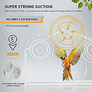 VIVOHOME Acrylic Clear Window Bird Feeder with Strong Suction Cups and Sliding Seed Tray