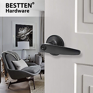 BESTTEN Roma Series Keyed Entry Door Lever with Removable Latch Plate,All Metal Door Handle with Lock and Key, Matte Black