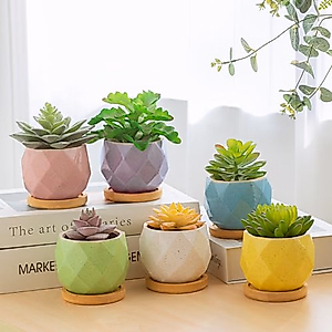 Brightdeco Ceramic Succulent Plant Pots Set of 6 - Small Succulent Pots with Drainage Hole Mini Pots for Indoor Plants Ceramic Planter with Bamboo Saucers Home Decor Rhombic