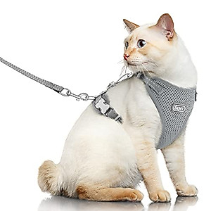 Supet Cat Harness and Leash for Walking Escape Proof, Adjustable Harness for Cats, Easy Control Small Cat Harness for Medium Large Kitten and Dogs
