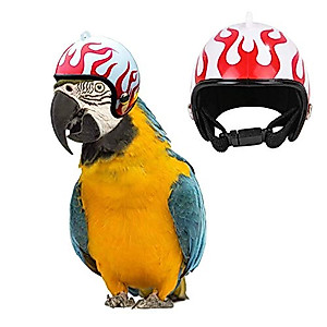 Genriq 10PCS Chicken Helmet - Chicken Bird Toy Head Protection Helmet Bird Hat Headwear Suitable for Parrot Small Chickens, Ducks and Other Poultry Funny Pet Safety Helmet Costumes Accessories