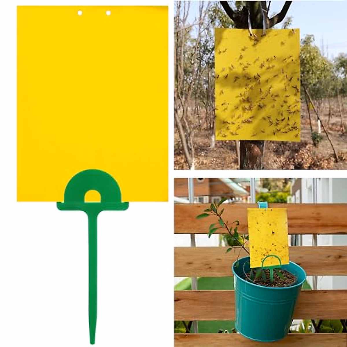 20 Sheets Sticky Fly Traps, Dual-Sided, for Flying Insect, Indoor and Outdoor, 8x6 Inch, Yellow