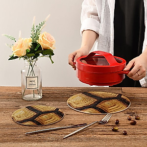 Turtle Shell Trivet Pot Holder Carapace Print Round Woven Potholders Set Kitchen Placemats 2PCS Cotton Rope Table Hot Pads Stylish Coasters Heat Resistant for Hot Dishes Baking Cooking Cups Dinning