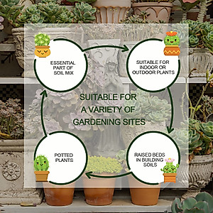 10QT Horticultural Vermiculite Bulk, Organic Vermiculite for Plants, Course Grade Vermiculite for Gardening, for houseplants, for Mushrooms, to Maintain Soil Moisture and Plant Growth(2-4mm)