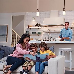 Lutron Diva LED+ Dimmer Switch for Dimmable LED, Halogen and Incandescent Bulbs, 150W/Single-Pole or 3-Way, DVSCCL-153P-PD, Palladium