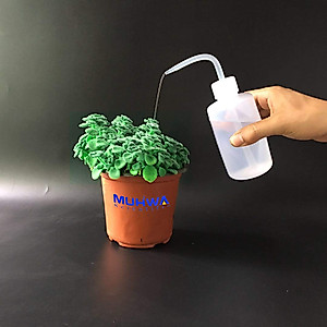 Safety Wash Bottle, Squeeze Bottle, Narrow Mouth, Plastic (250ml 500ml (Pack of 2))