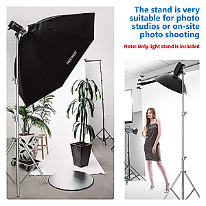 Neewer 118"/3m Stainless Steel Light Stand, Spring Cushioned Heavy Duty Photography Tripod Stand with 1/4” to 3/8” Universal Screw Adapter for Strobe, LED Video Light, Ring Light, Monolight, Softbox