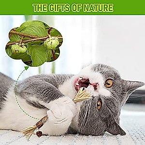 BAWAN Catnip Toys‖ Silvervine for Cats: Cute Cat & Kitten Toys for Indoor Cats Interactive‖ Cat & Kitten Teething Chew Toys for Aggressive Chewers‖ Silvervine Sticks Cat Dental Toy (3PCS)