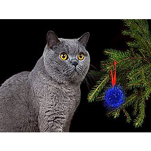 Axe Sickle 20 Pcs 2 Inch Sparkle Ball Cat Toy Interactive Balls Multicolor for Kittens Exercise and Multiple Cats Play and Chase