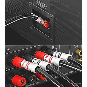 Nakamichi Excel Series 24k Gold Plated Banana Plug with (10 Feet) 12AWG Speaker Cable Wire 99.9% Oxygen-Free Copper (OFC) Heavy Duty Braided for Amplifier Hi-Fi Home Theatre - Black (10ft/3.0m)