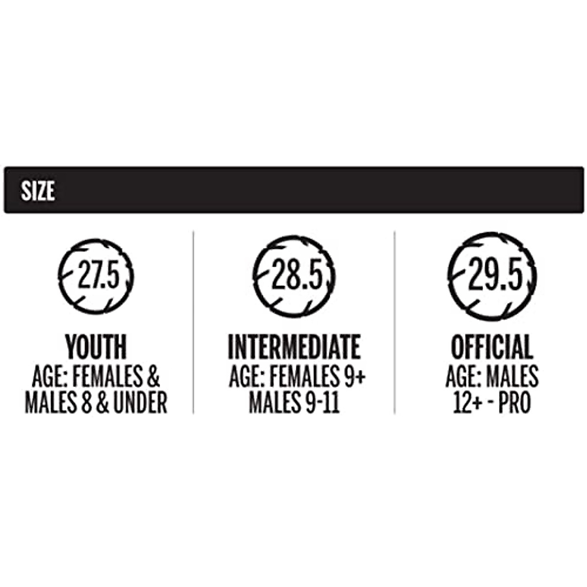 WILSON Customized Personalized Evolution Basketball Indoor Game Ball