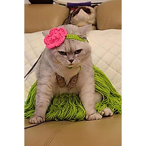 Pet Cat Clothes Bikini Cat Dog Costume Funny Pet Clothes Small Dog Costumes Clothes (Cloth-pet)