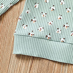 Kids Baby Girl Floral Clothes Set Ruffle Long Sleeve Pullover Tops + Bowknot Pants 2PCS Girls Outfits (Green, 2-3T)