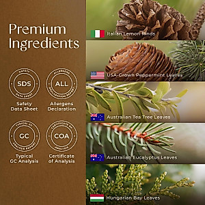 Gya Labs Breathe Essential Oil Blends - Natural Breathe Easy Essential Oils from Eucalyptus, Peppermint Oil and More for Humidifier Cleaner (0.34 fl oz)