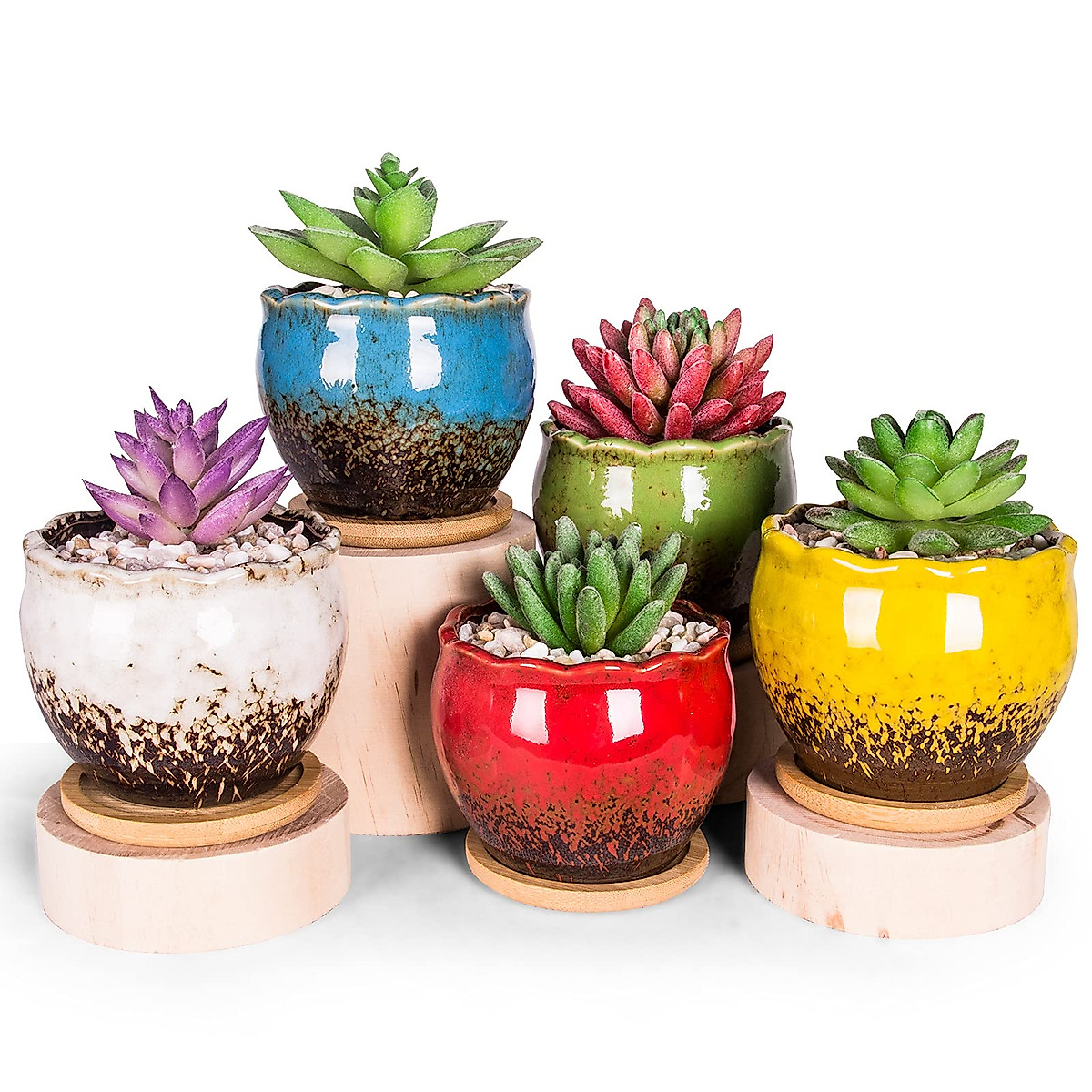 ARTKETTY Succulent Pots - 4 Inch Ceramic Succulent Planters with Drainage Tray Set of 6, Small Cactus Pots for Indoor Plants Colorful Flower Plant Pots for Desk Windowsill