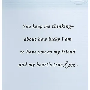 Hallmark Anniversary Card (Dragonfly and Leaf)