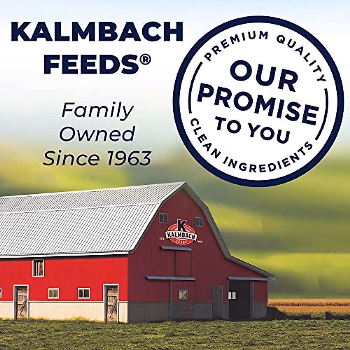 Kalmbach Feeds All Natural 5 Grain Premium Scratch Grain Treat for Chickens
