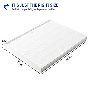 Gazeer 2 True HEPA Filter Replacement Filter A and 8 Carbon Pre Filters Set Compatible with Winix 115115 PlasmaWave Size 21. Fits Model WAC5300, WAC5500, WAC6300, 5000, 5000b, 5300, 5500-2, P300, C535