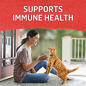 Purina Beyond Chicken, Beef and Carrot and Turkey, Sweet Potato and Spinach in Wet Cat Food Gravy 12 Ct Variety Pack - (2 Packs of 12) 3 oz. Cans