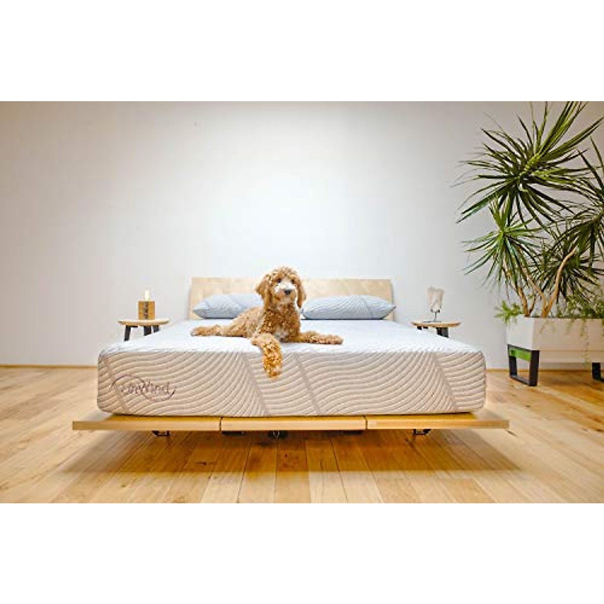 Unwind Luxury Cooling Foam Mattress - Ultra-Soft Visco Elastic Foam Mattresses - Higher Quality Than Memory Foam - Best for Back and Body Support - Queen Size