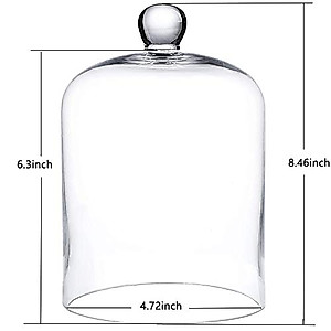 RenRenLe 8.5X4.7 Inches Cloche Glass Dome Glass Cloche Bell Jar Bell Dome Glass Display Cover for Dessert Foods Candles (Interior Size 6.3 x 4.7 Inches)