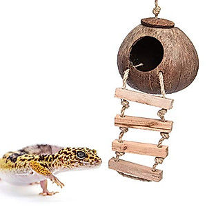 Gecko Coconut Husk Hut, Bird Hut Nesting House Hideouts with Ladder, Coco Texture Provide Food, Durable Cave Habitat with Hanging Loop for Leopard Gecko, Reptiles, Amphibians and Small Animals