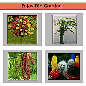 Krewey 2-in-1 Garden Grafting Tools Pruner Kit, V-Graft Omega-Graft and U-Graft, Plant Branch Vine Fruit Tree Cutting Tool Kits Scissors