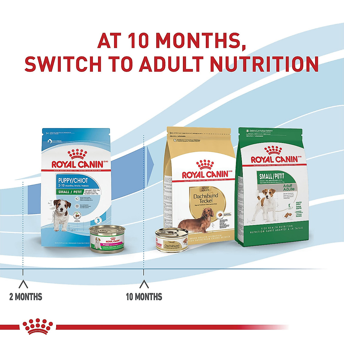 Royal Canin Size Health Nutrition Small Breed Dry Puppy Food, Supports Brain Development, Immune Support, and Digestive Health, 14 lb Bag