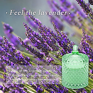 LMQSCH Candle, Scented Candle, Cotton Wicked Large Scented Candle, Luxury Candles Gifts for Women, Natural Soy Wax Aromatherapy Candle, 50 Hours Buring Time, 8.8oz Sage Lavender Mixed