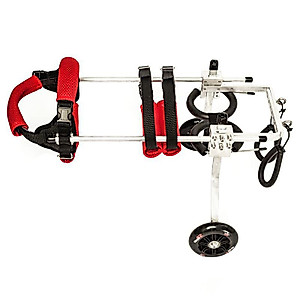 QingYi Dog Wheelchair , Adjustable Animal Exercise Wheels,Cart Pet Wheelchair for Handicapped Hind Legs Small Pet/Cat/Dog Walk (M), Red