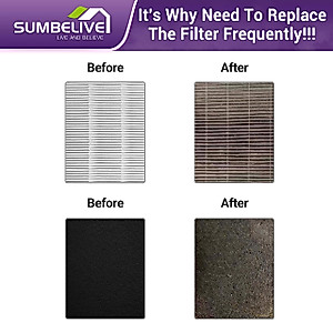 C545 Replacement Filter for Winix C545 Air Purifier Filter S, 1 True HEPA Filter + 2 Activated Carbon Filters Part No. 1712-0096-00 and 2522-0058-00