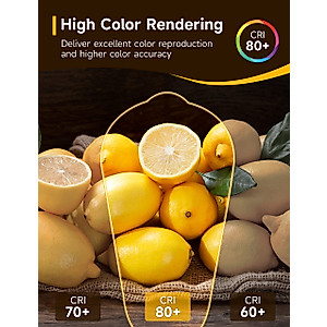 UNILAMP Dimmable LED Edison Bulb, ST64 E26 Base Lighting Vintage LED Bulbs, 6W Vintage LED Light Bulb(60W Equivalent), 600lm, 2200K Amber Warm, High Brightness Amber Glass (2 Packs)