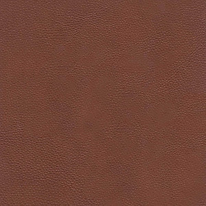 Hydeline Aiden Top Grain Leather Loveseat, Cinnamon Brown, Memory Foam and Springs Seating