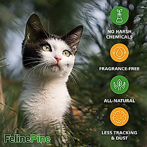 Feline Pine Platinum Non-Clumping Cat Litter 18lb.