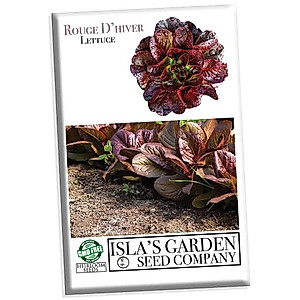 Rouge D'hiver Romaine Lettuce Seeds for Planting, 1000+ Heirloom Seeds Per Packet, (Isla's Garden Seeds), Non GMO Seeds, Botanical Name: Lactuca Sativa, Great Home Garden Gift
